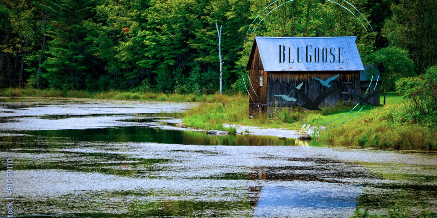 Blu Goose